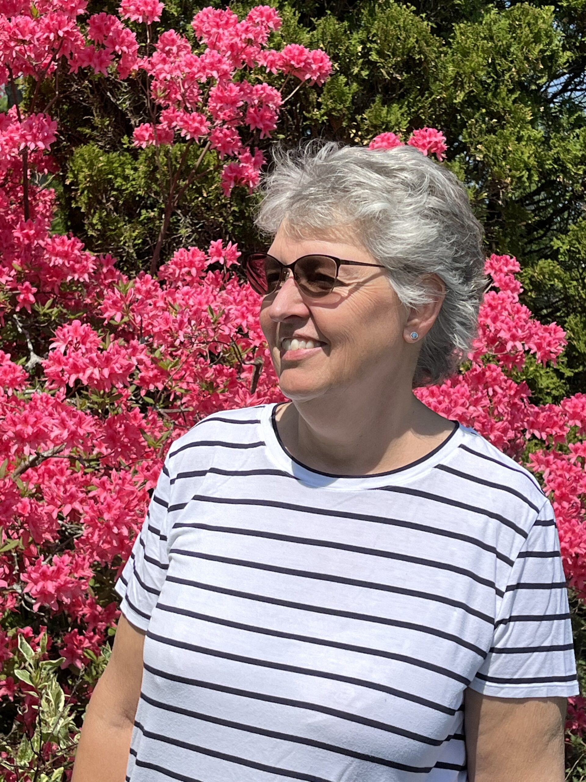 Lisa Henderson - VMEC